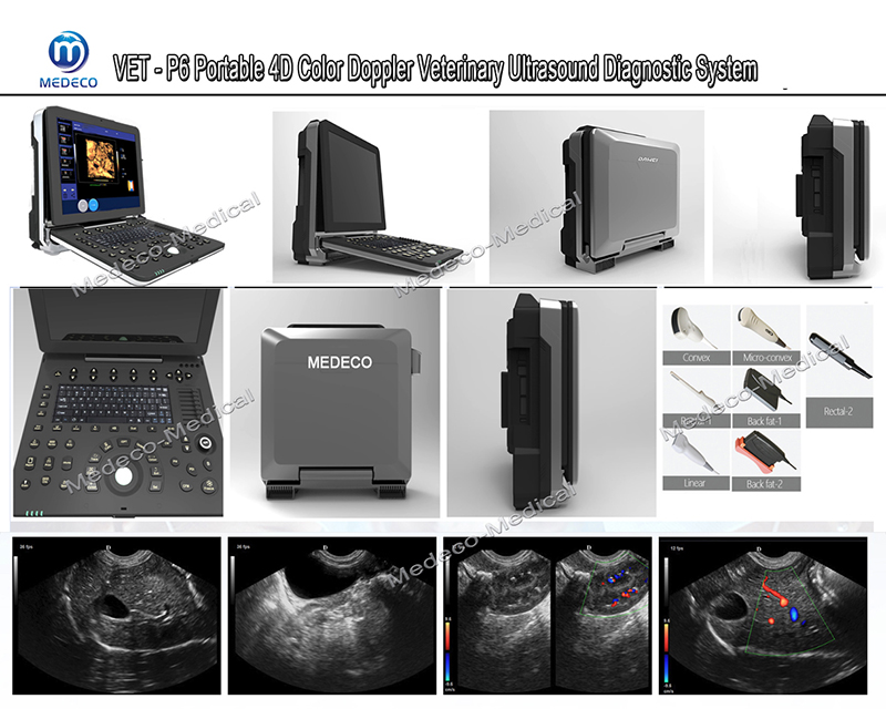 ME VET-P6 Portable 4D Color Doppler Veterinary Ultrasound Diagnostic System-华纳公司在线客服（微21576690）
